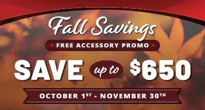 Save up to $650 on Regency Fireplaces | Winter Promo